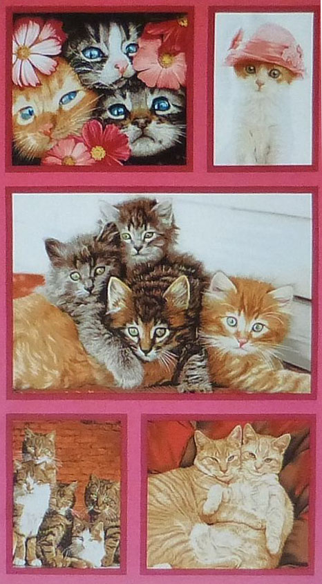 Cat Crazy Ginger Grey Tabby Cats Flowers Quilting Fabric Panel - Find a ...