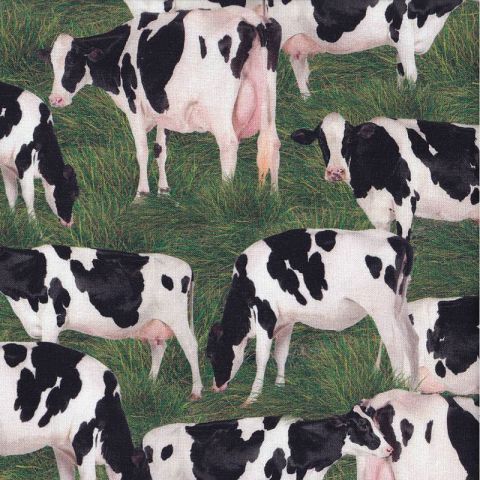 Search results for: 'black and beige saddleback pigs on cream farm ...