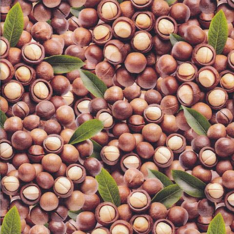 Australian Macadamia Nuts on Cream Food Snack Quilting Fabric - Find a ...